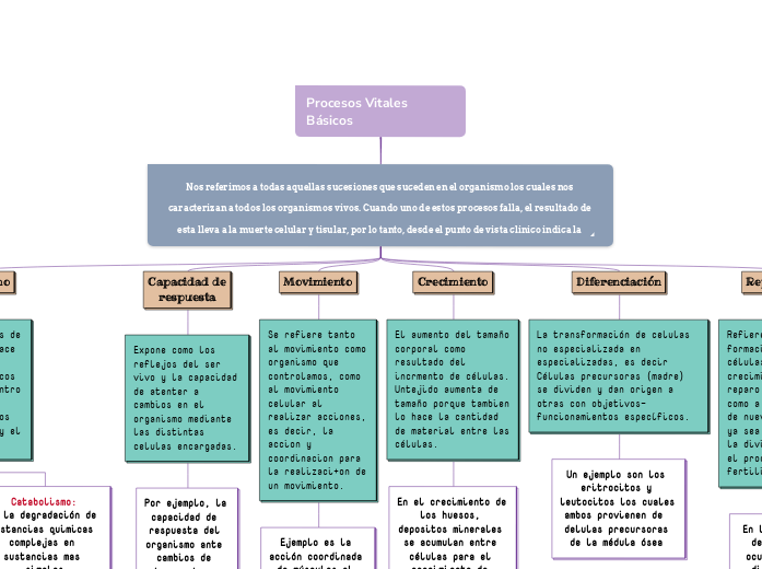 Procesos Vitales Básicos - Mind Map
